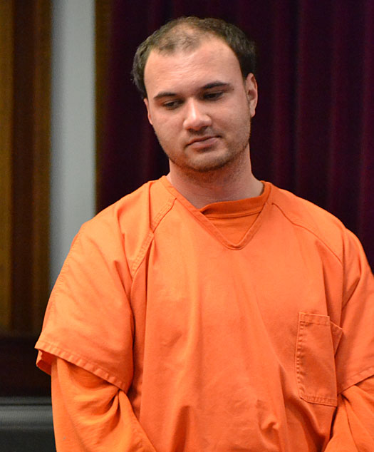 Appeal of plea withdrawal denial rejected « The VW independent