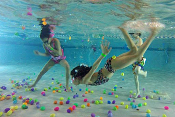 YMCA to have kids’ Easter Egg Dive event « The VW independent