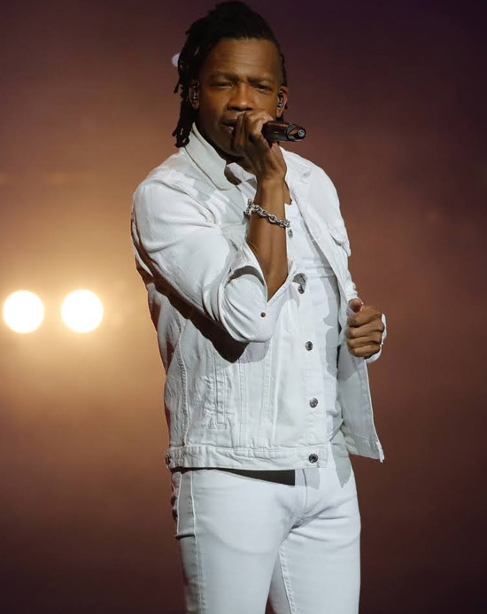 NPAC crowd entertained… « The VW independent