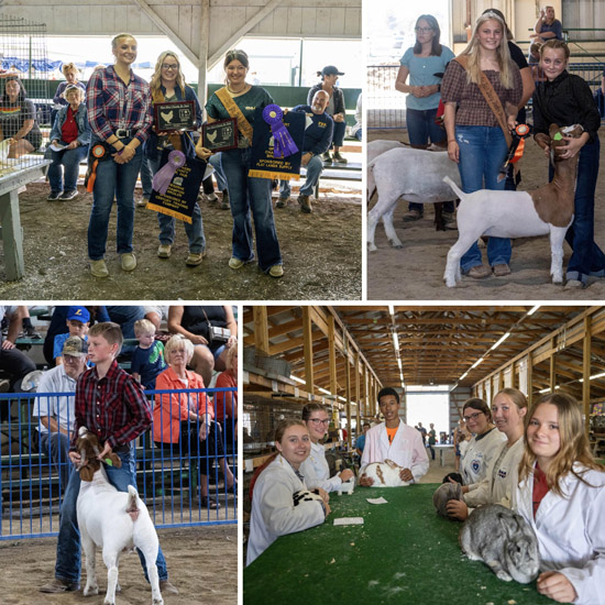 Fair ends… « The VW independent