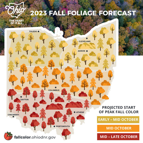 Fall colors coming… « The VW independent