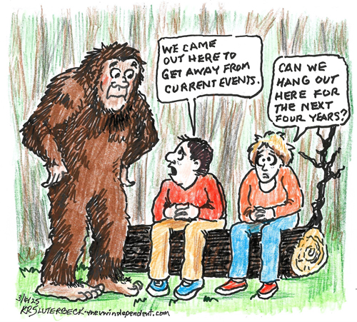 Opinion « The VW independent