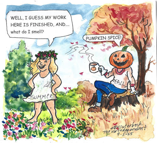 Opinion « The VW independent